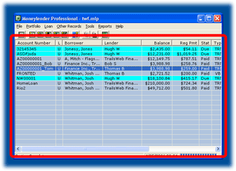 Moneylender Professional - List of Loans